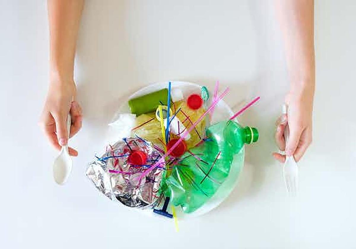 Plastikoak egiteko erabiltzen den A bisfenolak haurren garapenean eragin dezake» | El Correo